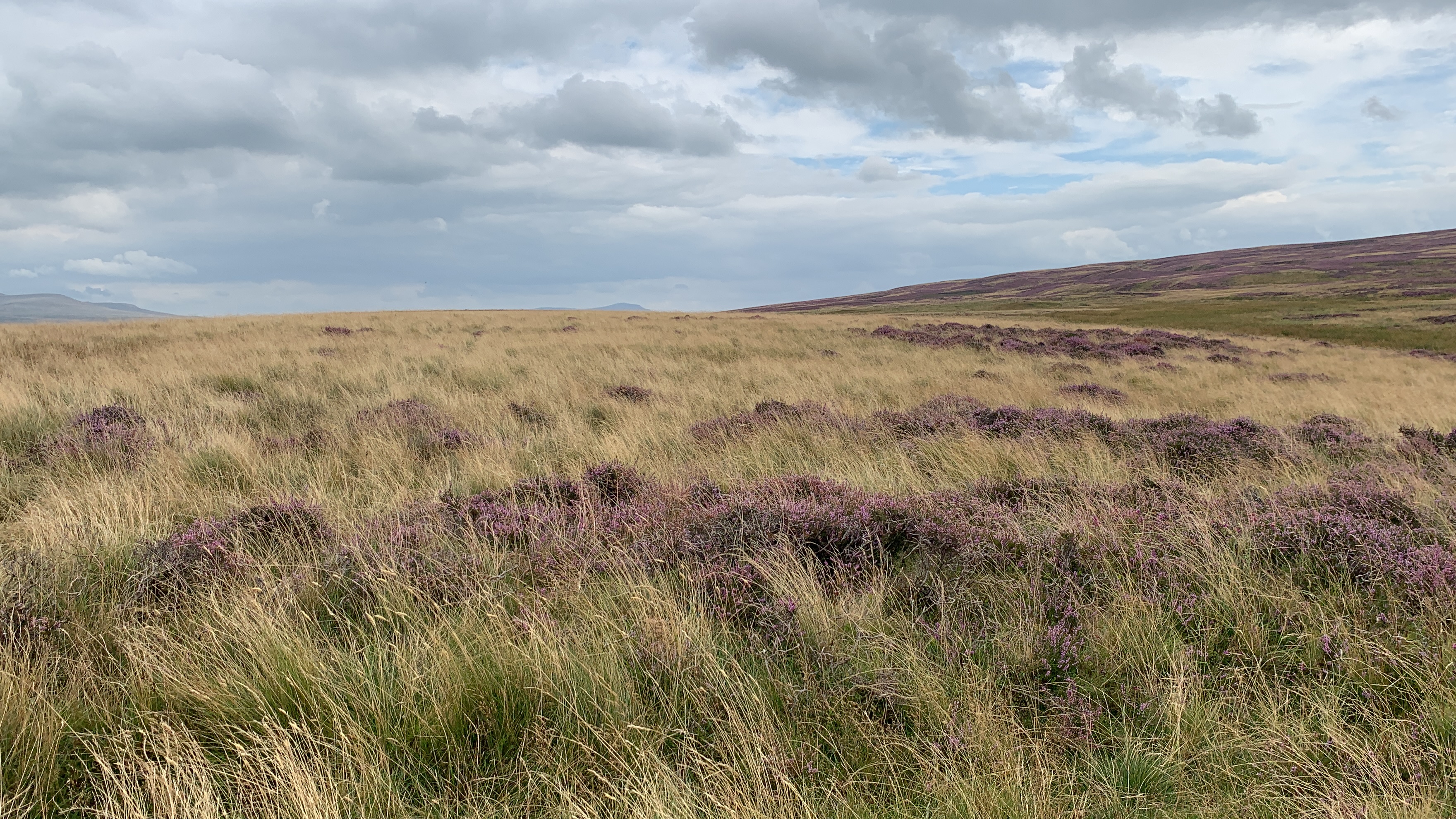 Day 8—Ravenstonedale to Mellor – Jim Smith